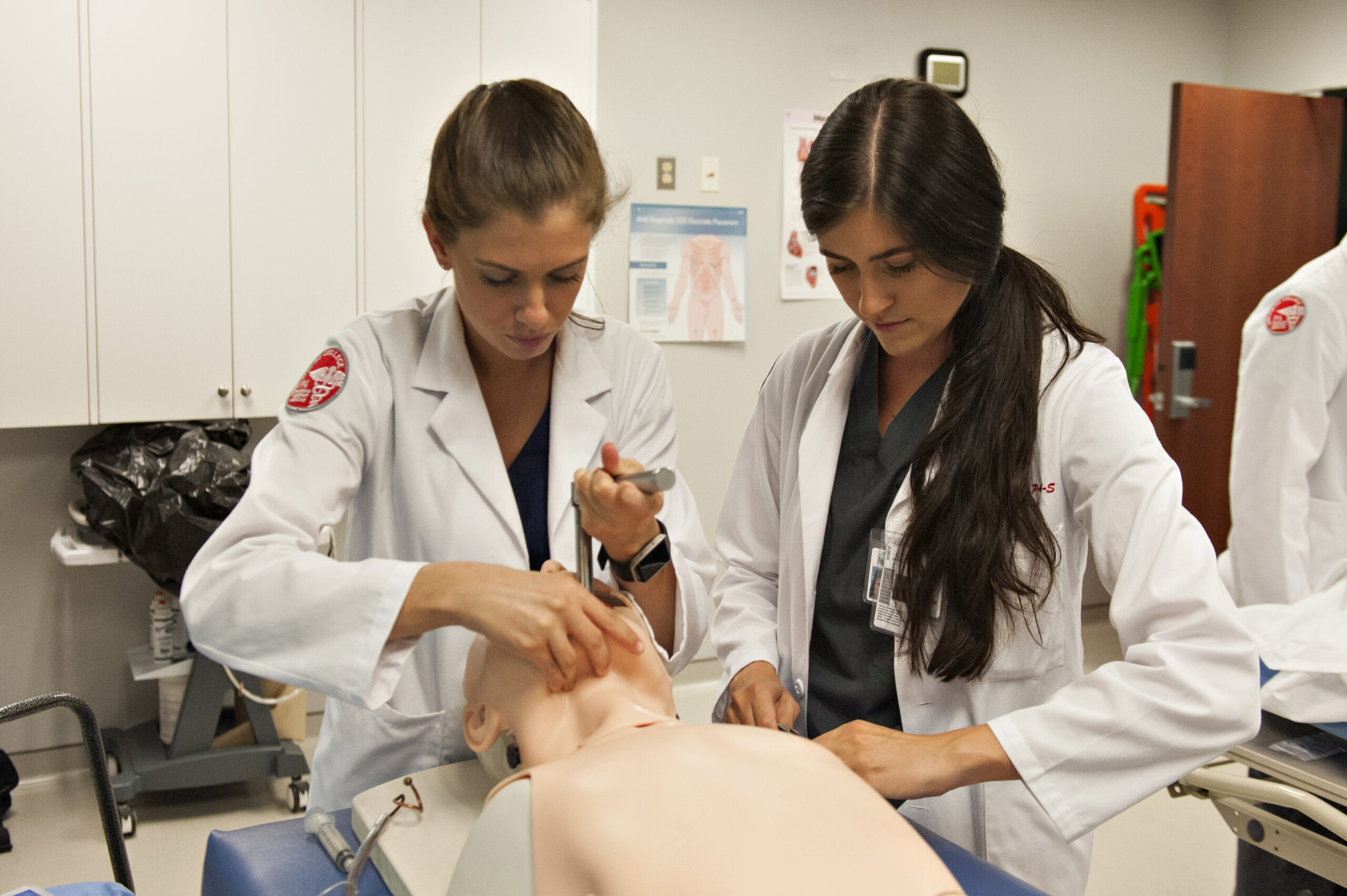 Pre-Physician Assistant | University of Lynchburg