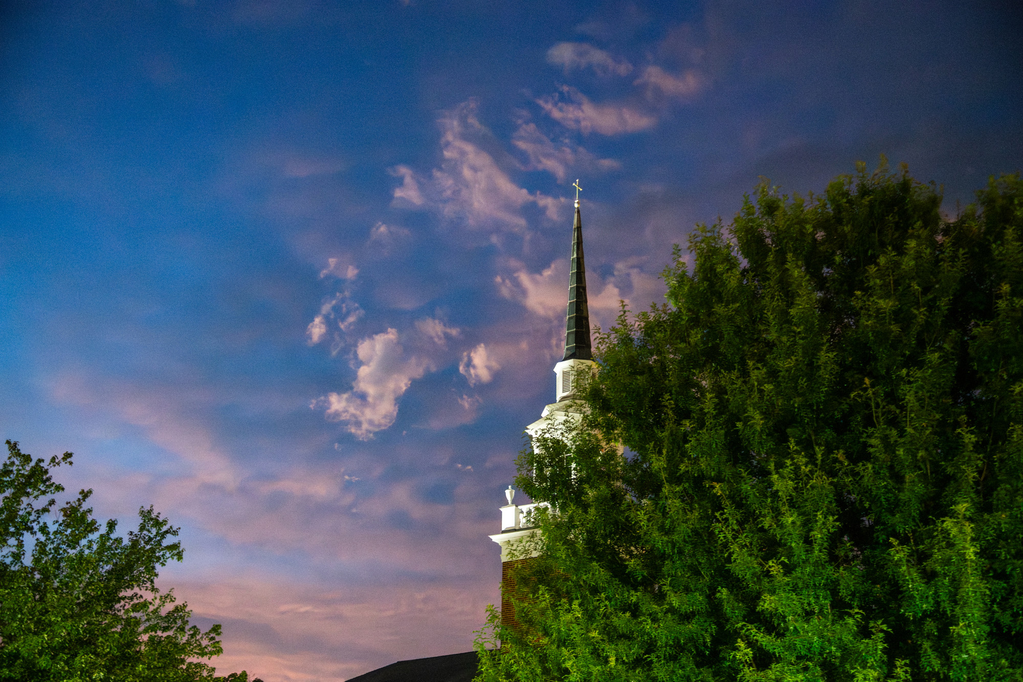 Internationally recognized peace activist to give Shumate Lecture ...